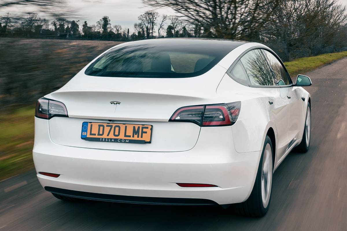 StriveME - إليك تحليل شامل للفروقات بين تسلا موديل 3 وتسلا موديل Y 2023